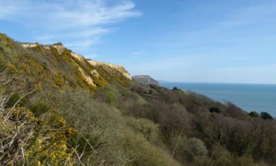 Golden Cap; een topwandeling op het South West Coast Path - Wandelvrouw