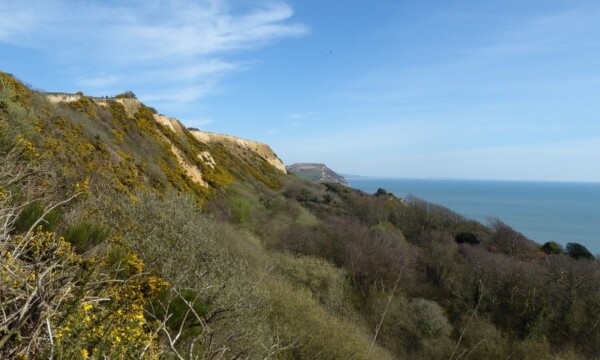 Golden Cap; een topwandeling op het South West Coast Path - Wandelvrouw