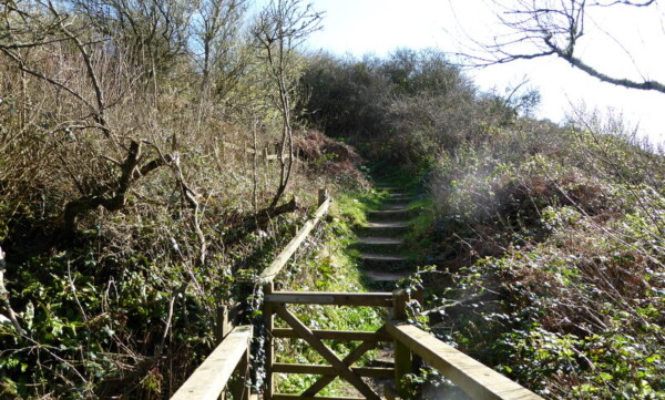 Golden Cap; een topwandeling op het South West Coast Path - Wandelvrouw