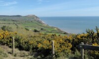 Golden Cap; een topwandeling op het South West Coast Path - Wandelvrouw