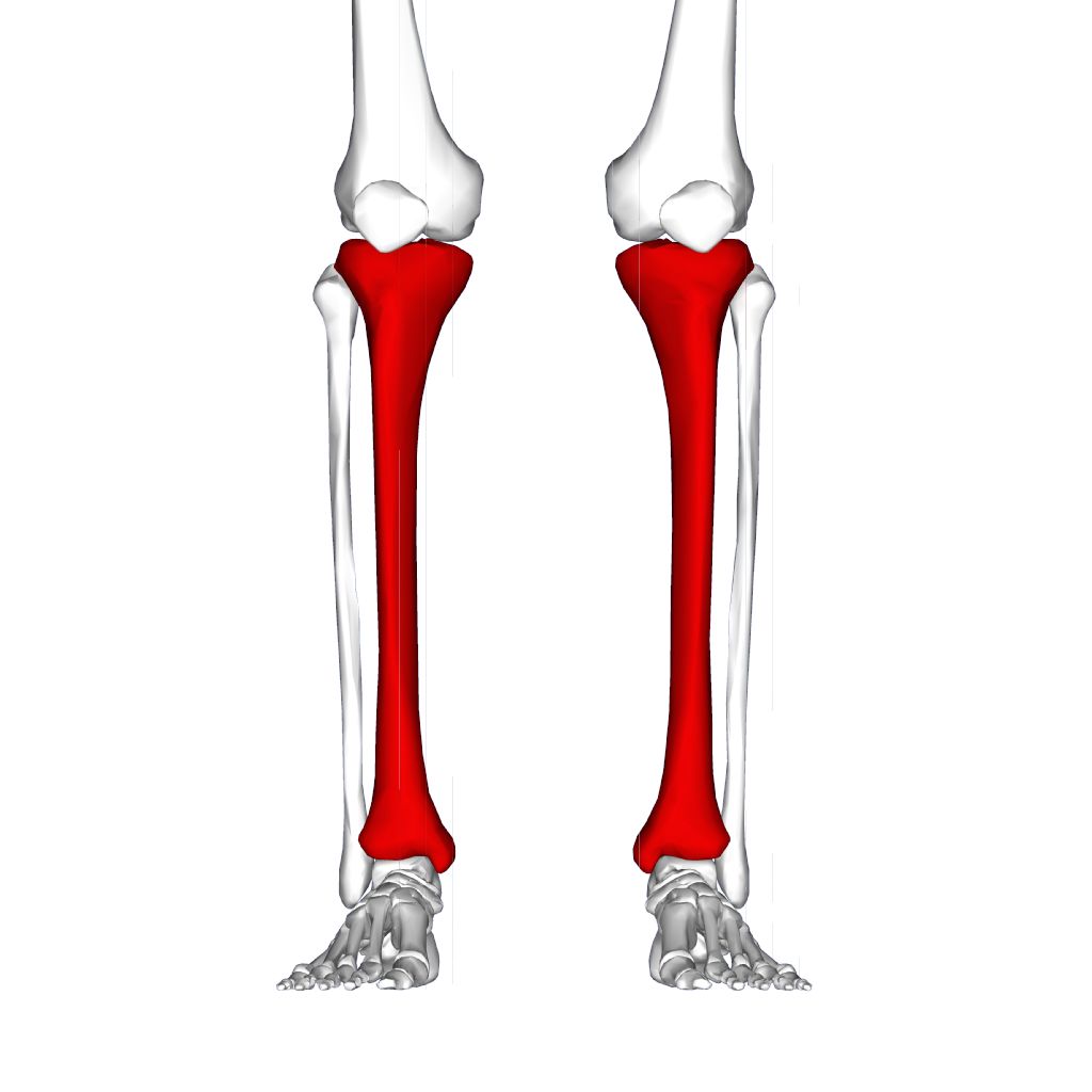 Shin Splints oftewel pijnlijke scheenbenen; hoe kom ik er aan en hoe ...
