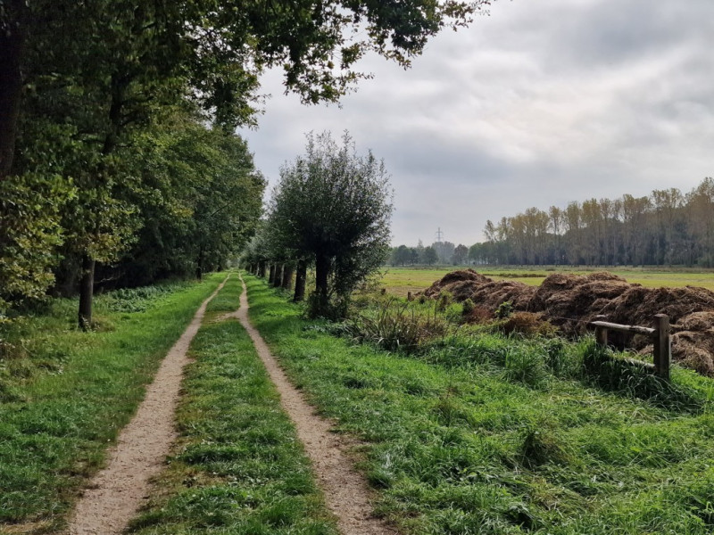 De Rode Beek Wandelroute | Langs Kasteel Daelenbroeck en ...
